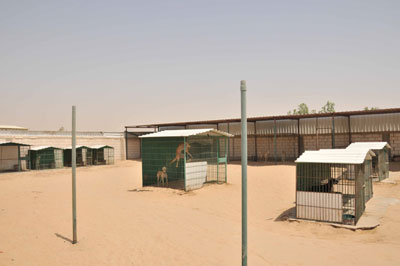 Animal Friends League Rescue – 2:48AM – Entertaining Kuwait since 2003