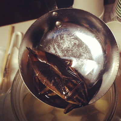 The strangest stuff I’ve eaten in Japan so far – 2:48AM